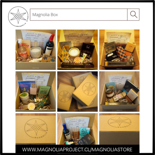 Magnolia Project | Comunidad Work/Café