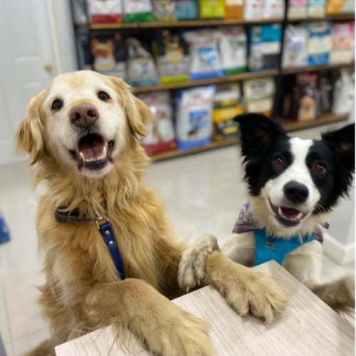 Cocó pet shop | Comunidad Work/Café