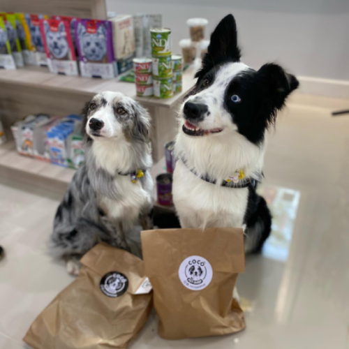 Cocó pet shop | Comunidad Work/Café